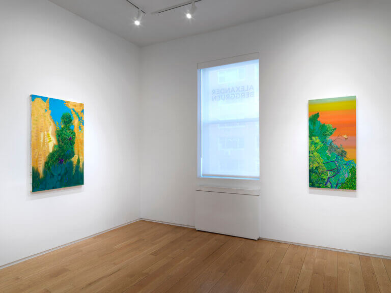 Hulda Guzmán | Artist at Alexander Berggruen