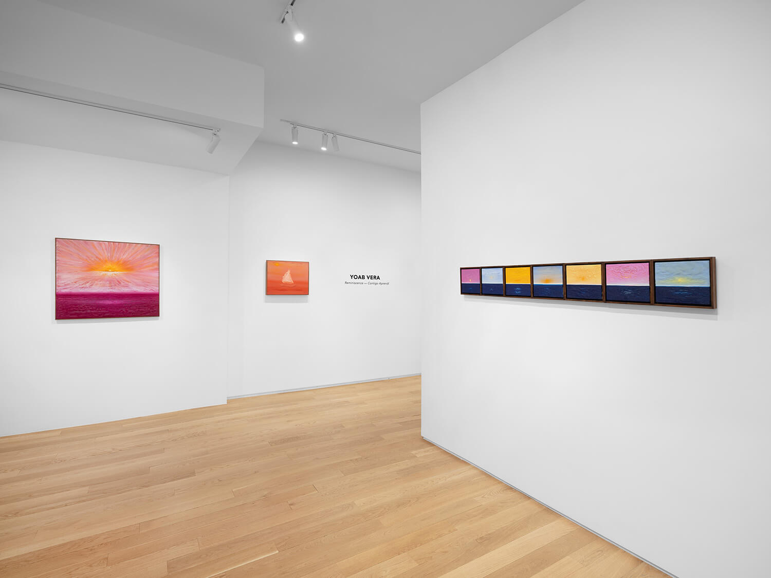 Yoab Vera | Artist at Alexander Berggruen