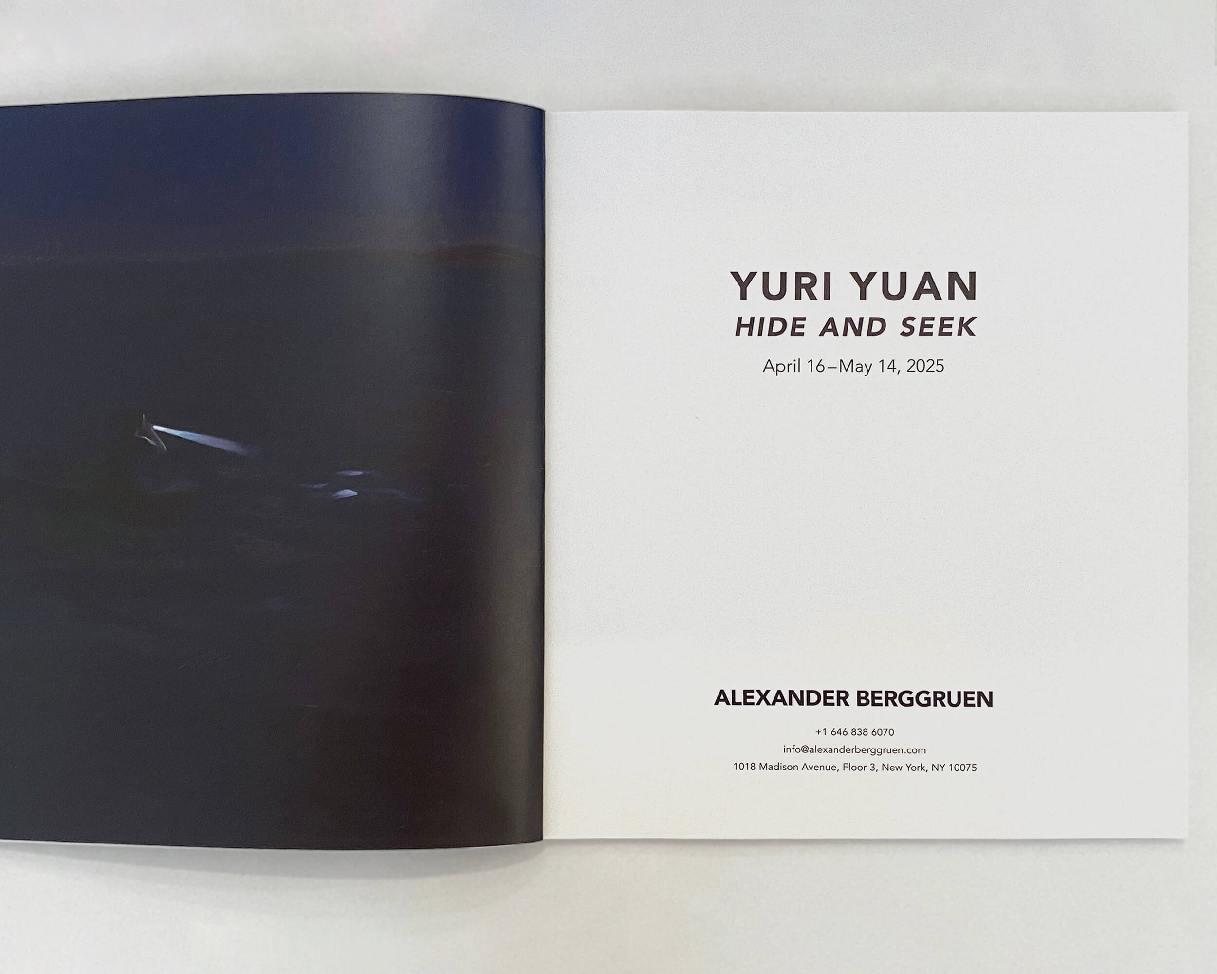 Yuri Yuan: Hide and Seek - Alexander Berggruen